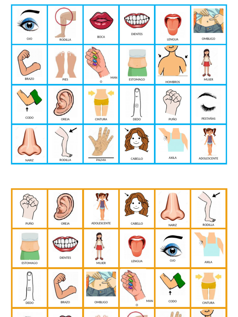 Lotería de Partes del Cuerpo Infantil | PDF