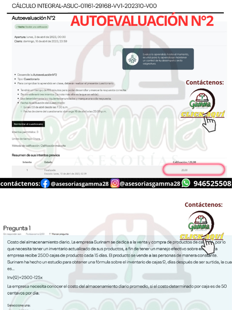 Autoevaluacion N°2 - Calculo Integral | PDF