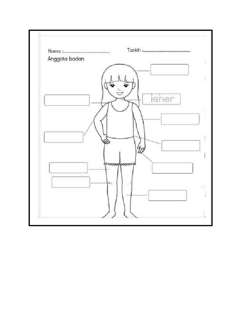 Anggota Badan | PDF