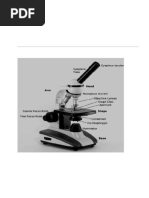 Expt.1.Study of Compound Microscope | PDF | Scientific Techniques | Lenses