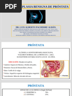 Plan Reflejo Galant | PDF
