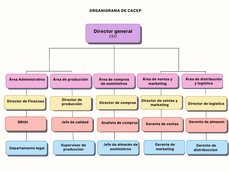 Organigrama Cacep | PDF