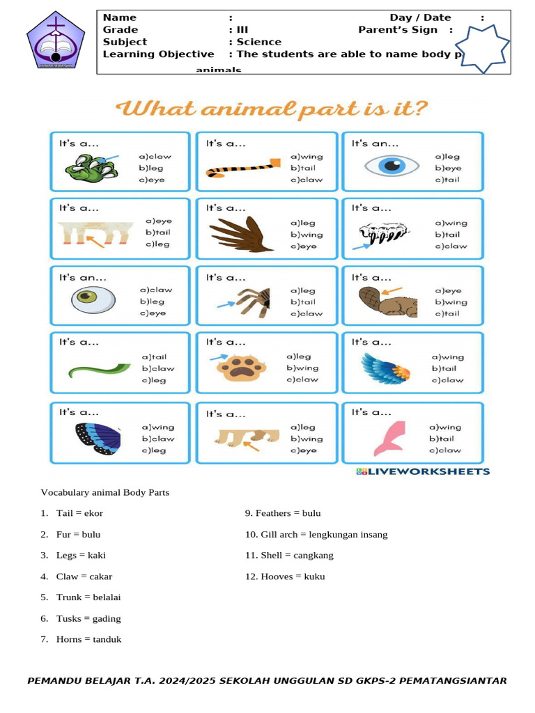 Animal Body Parts Vocabulary Guide | PDF | Foreign Language Studies