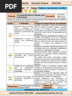 PROYECTO Un Viaje A Través Del Tiempo | PDF | Narración | Verbo