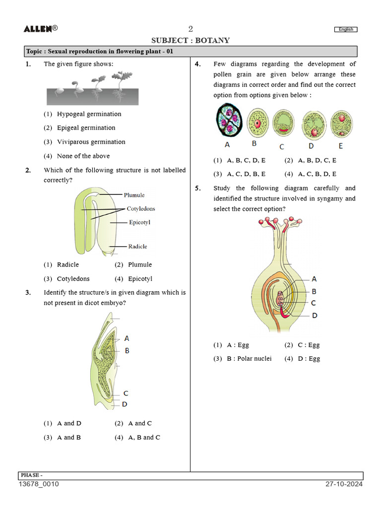 Sexual Reproduction in Flowering Plant - 01 | PDF | Ploidy | Flowers