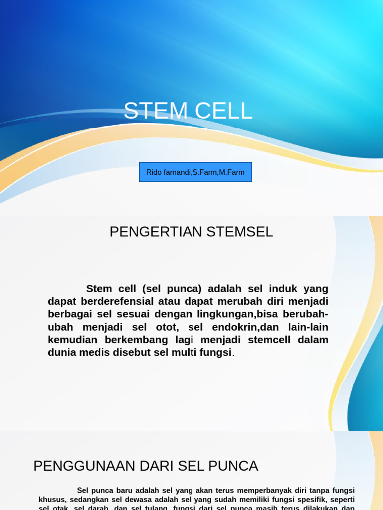 Stem Cell | PDF