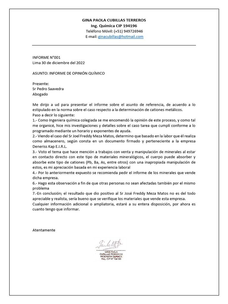 Informe Observacion (Quimica | PDF