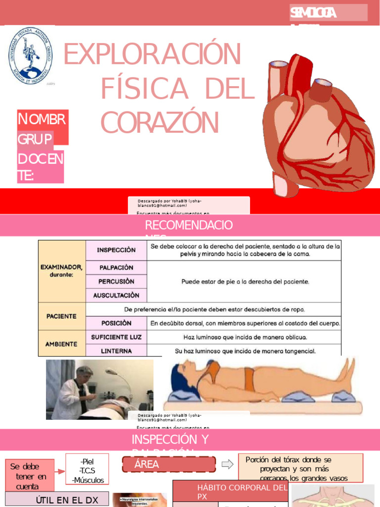 Exploracion Fisica D 875731 Downloadable 206034 2 24 | PDF | Corazón | Sistema cardiovascular