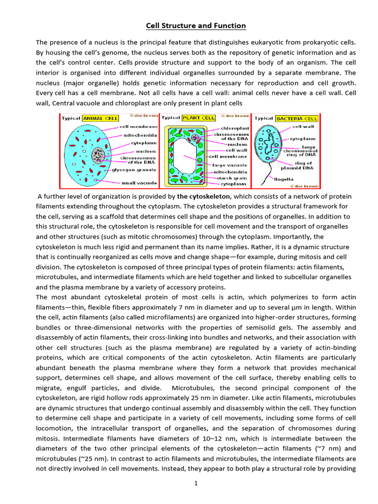 Lecture 1-2 Cell Bio Overview | PDF | Cytoskeleton | Endoplasmic Reticulum