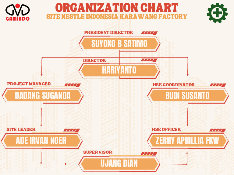 Organization Chart Nestle | PDF