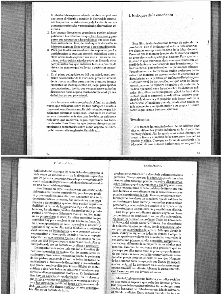 Enfoques de Enseñanza-1 | PDF