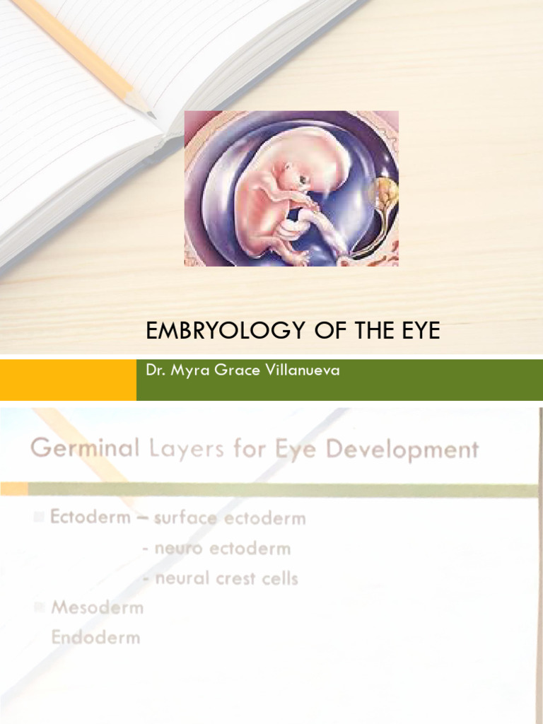Embryology Eye | PDF | Retina | Human Eye