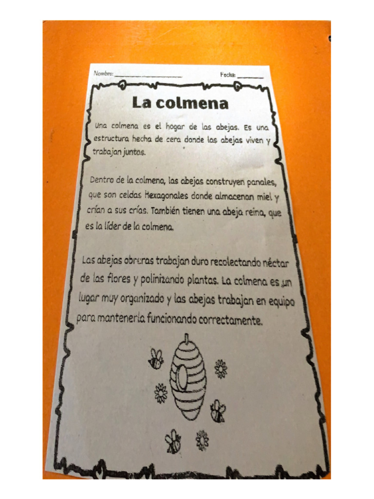 Colmena | PDF