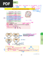 Lscs Operative Notes | PDF | Surgical Suture | Medical Specialties