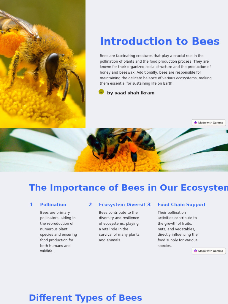Saad GP Work | PDF | Bees | Pollination
