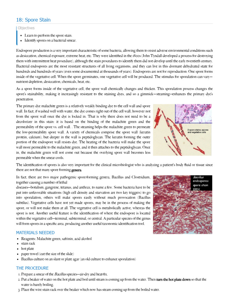 Spore Staining Guide for Microbiologists | PDF | Staining | Microbiology