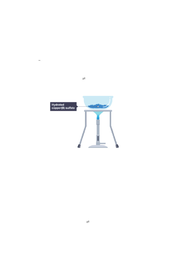 Reversible Reactions | PDF | Chemical Equilibrium | Reaction Rate