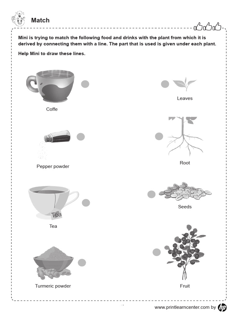 Science Plants Parts of A Plant 1 | PDF