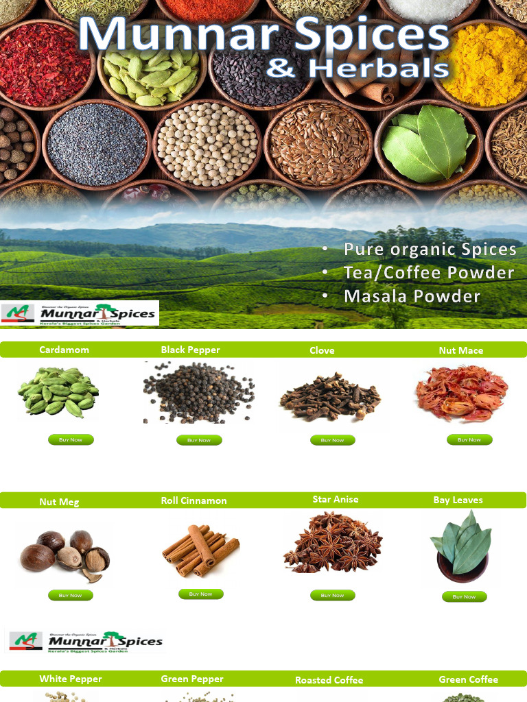 Spices | PDF
