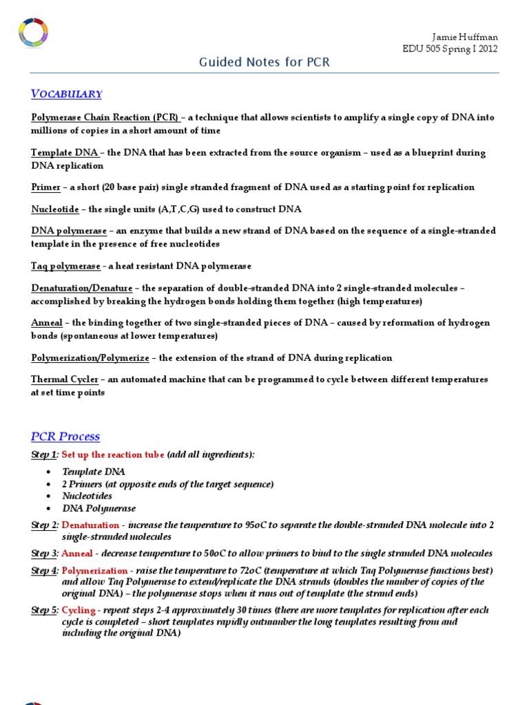 PCR Guided Notes After | PDF | Polymerase Chain Reaction | Primer ...