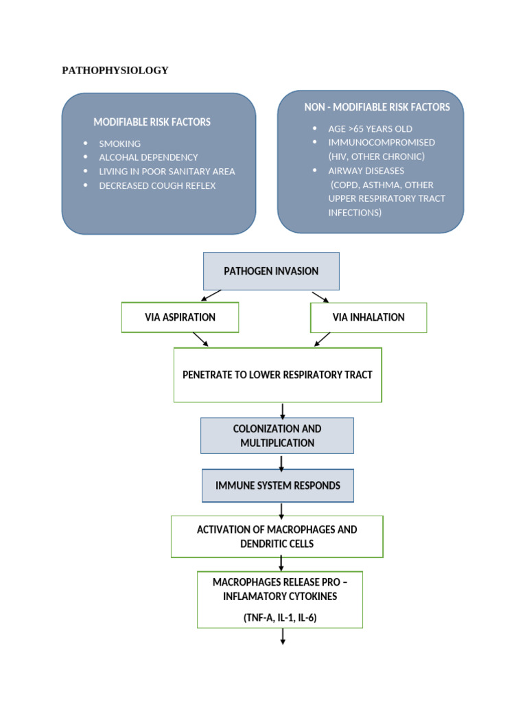 PATHOPHYSIOLOGY CAP | PDF | Respiratory Tract | Cough