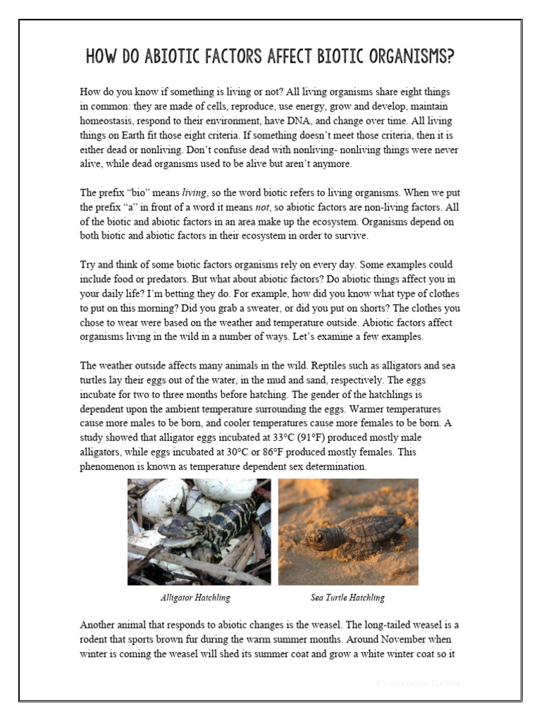 Reading - How Do Abiotic Factors Affect Biotic Organisms | PDF ...