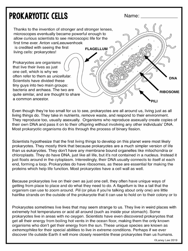 Reading Prokaryotic&Eukaryotic | PDF