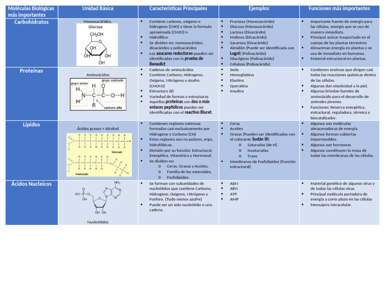 Moléculas Biológicas: Tipos y Funciones | PDF | Polisacárido | Lípido