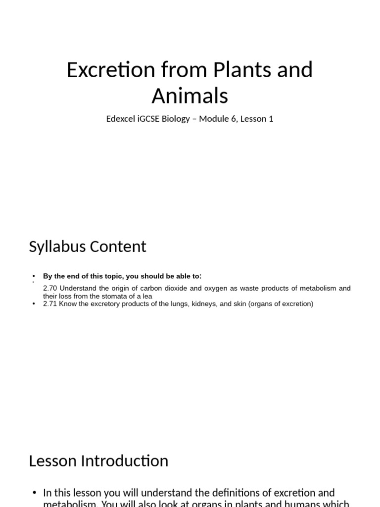 Edexcel iGCSE Biology - 6.1. Excretion From Plants and Animals | PDF ...