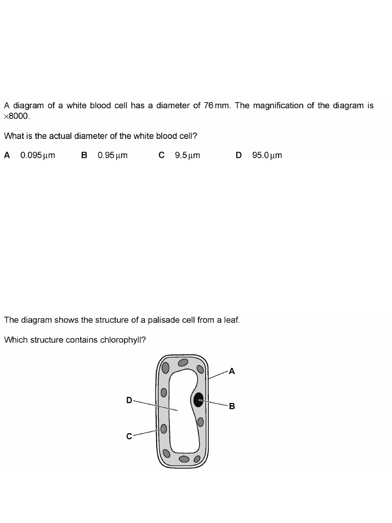 25 MCQ Cell and Magnification | PDF