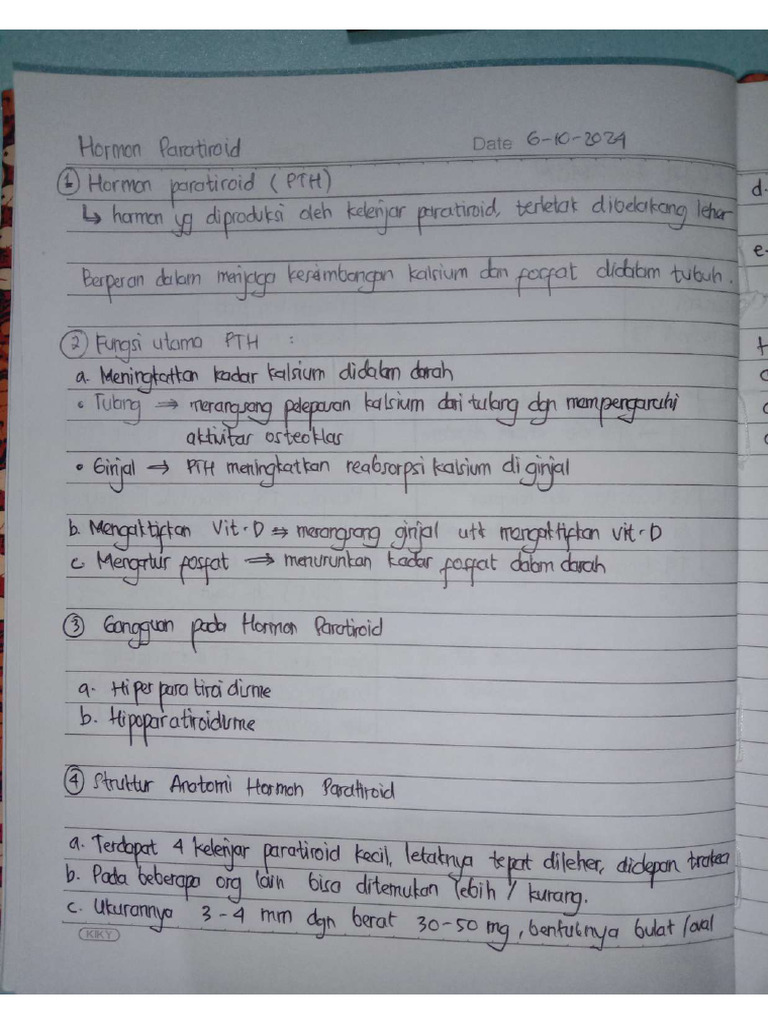 Tugas Endokrinologi PTH DWIKA FZ | PDF