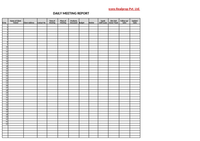 Daily Meeting Report | PDF