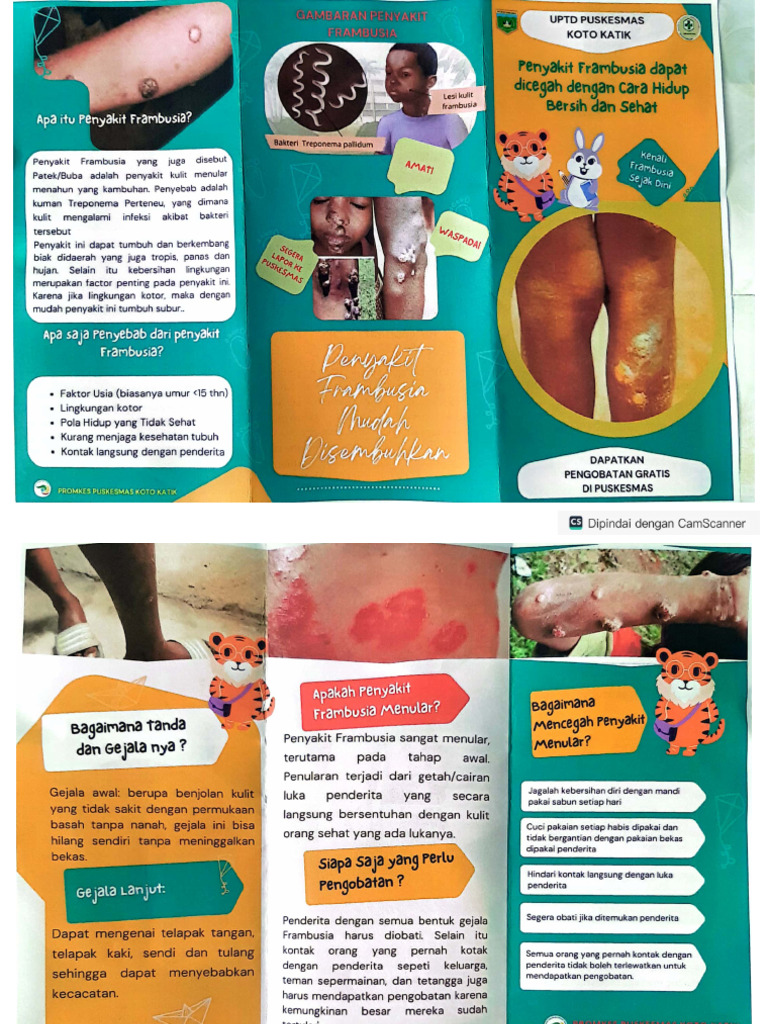 Leaflet Frambusia | PDF