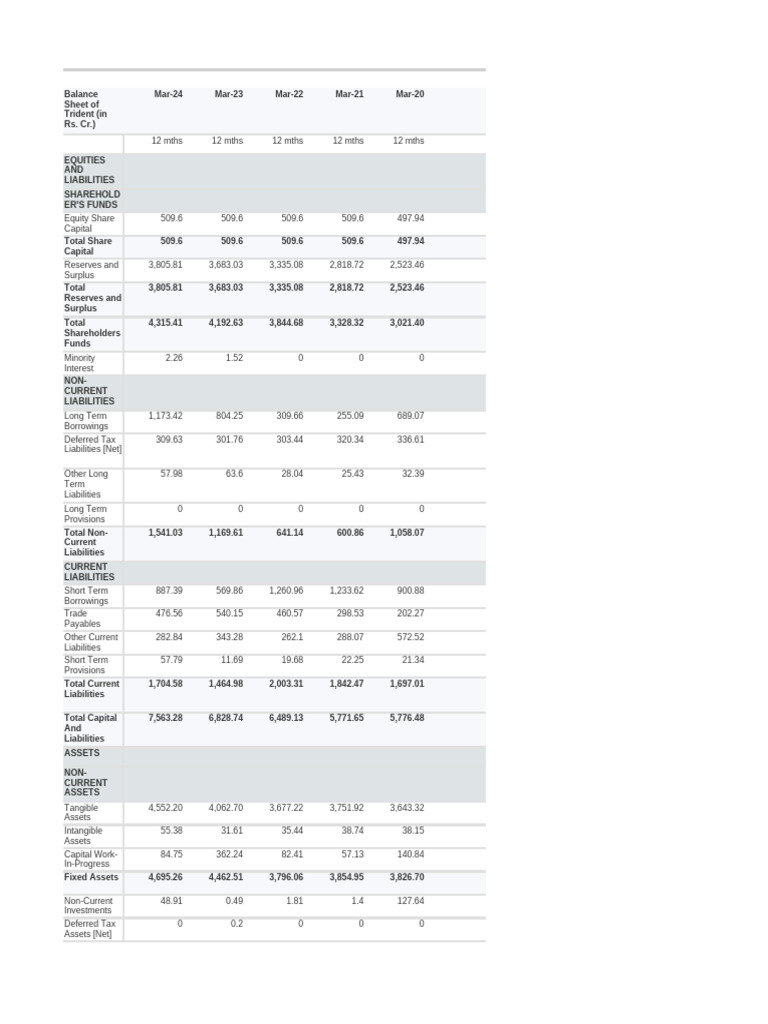 Sarthak Trident | PDF | Expense | Equity (Finance)