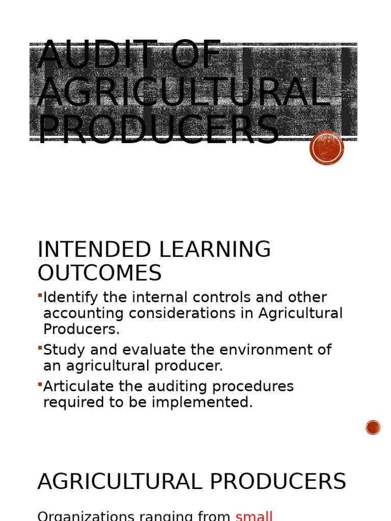 03 Audit of Agricultural Producers | PDF | Agriculture | Crops