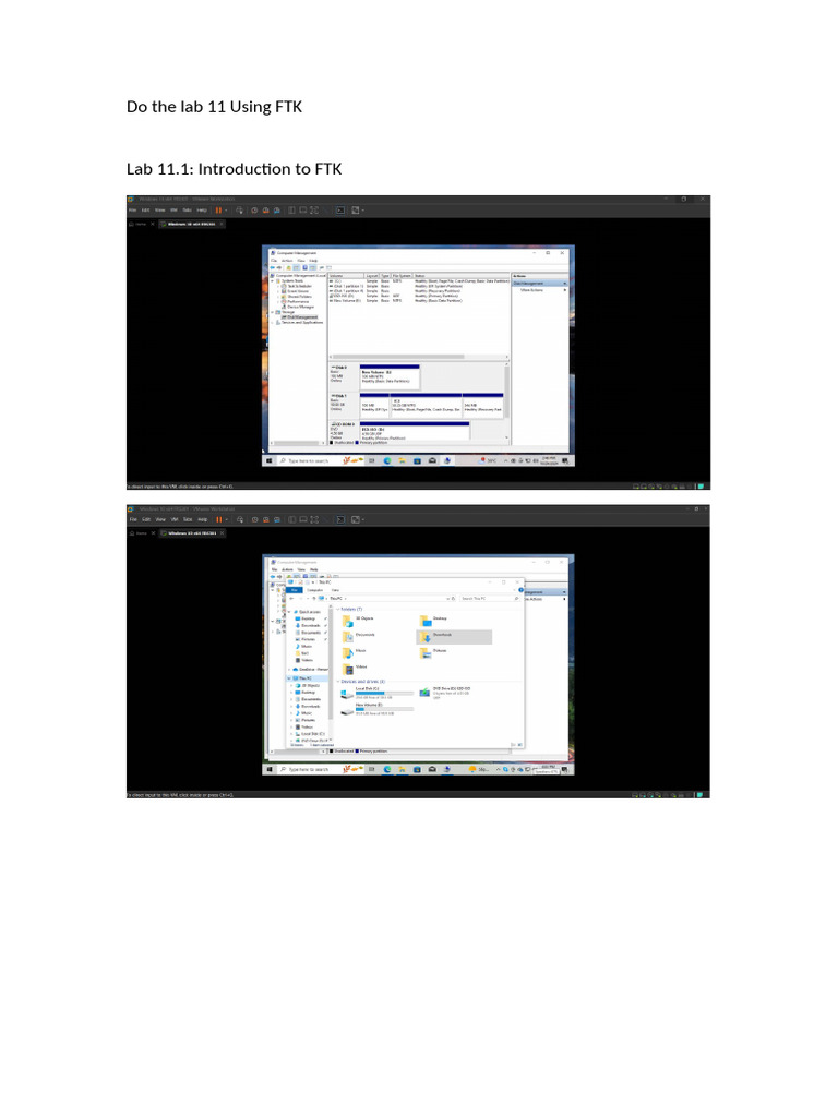 Lab11 FRS301 HoVietAn | PDF | Science & Mathematics | Computers