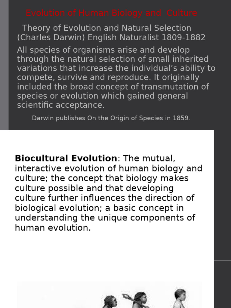 Human Evolution and Culture | PDF | Human Evolution
