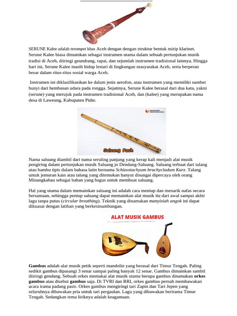 Serune Kalee: Terompet Tradisional Aceh | PDF