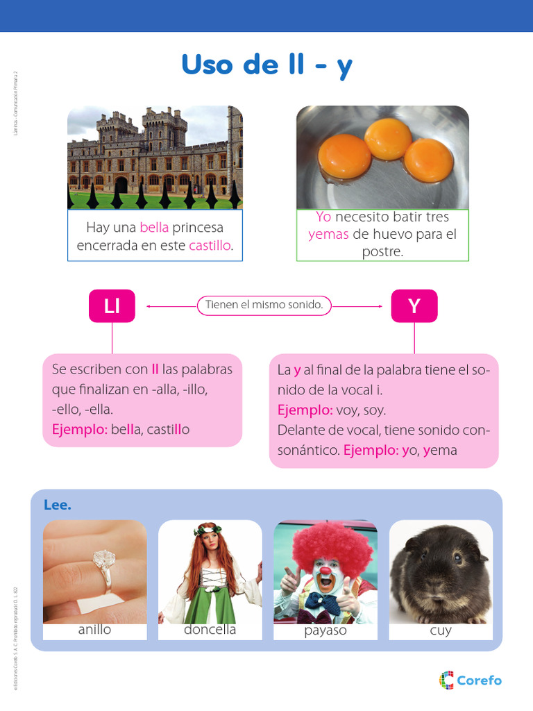 LÁMINA - Uso de LL - y | PDF