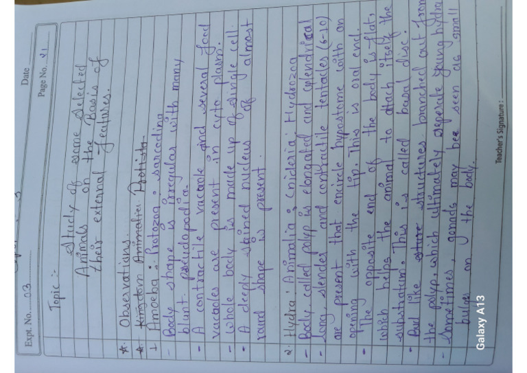 Biology Project Work (Spotting) | PDF