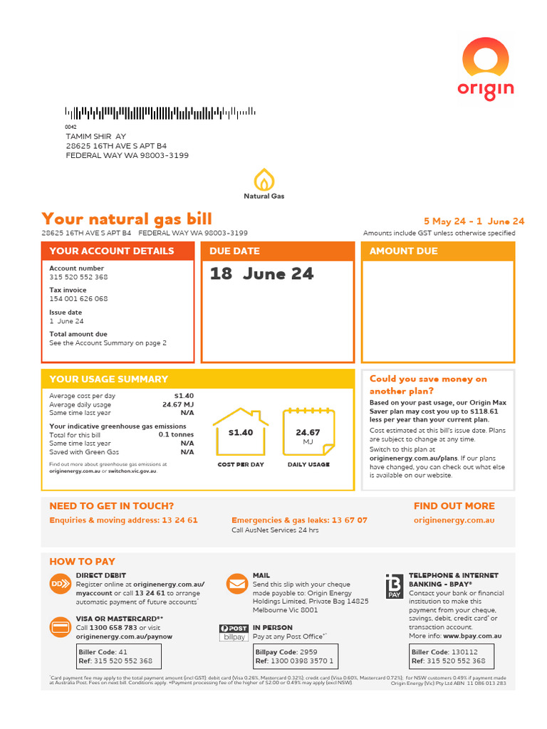 Your Natural Gas Bill: 18 June 24 | PDF | Payments | Visa Inc.