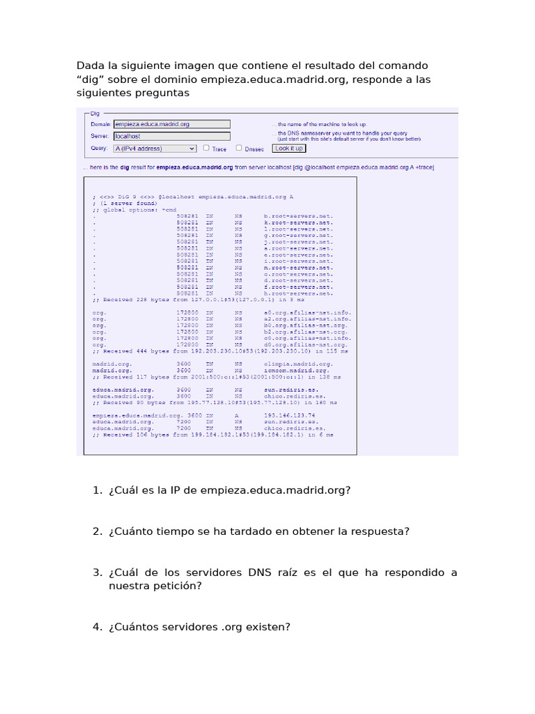 Análisis del comando "dig" en DNS | PDF | Informática
