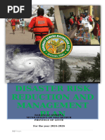 BDRRM Plan 2023 2025 | PDF