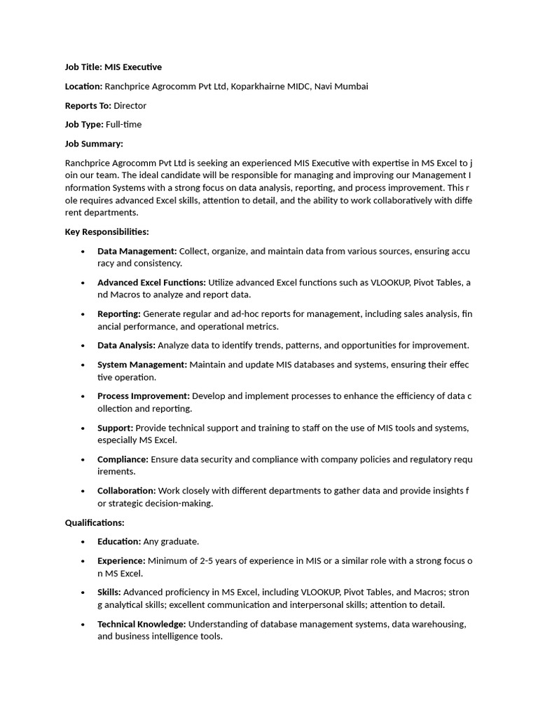 MIS Executive with Excel Expertise | PDF | Business | Computers