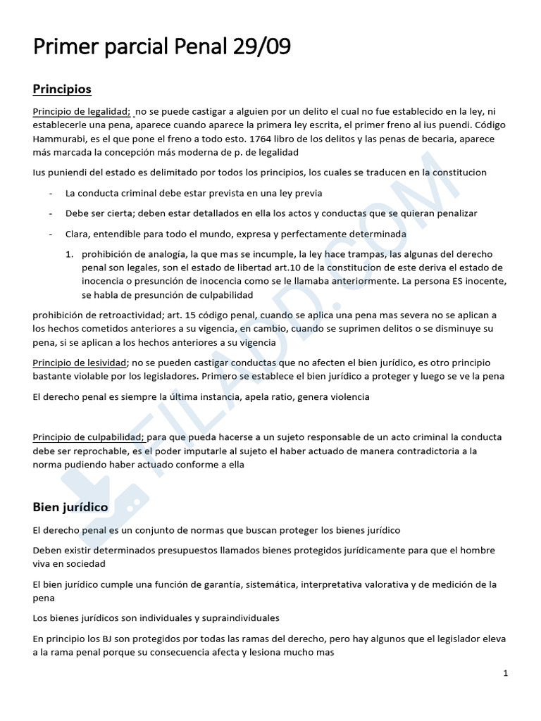 Primer Parcial Penal 2909 | PDF | Intención (Derecho Penal) | Causalidad (Ley)