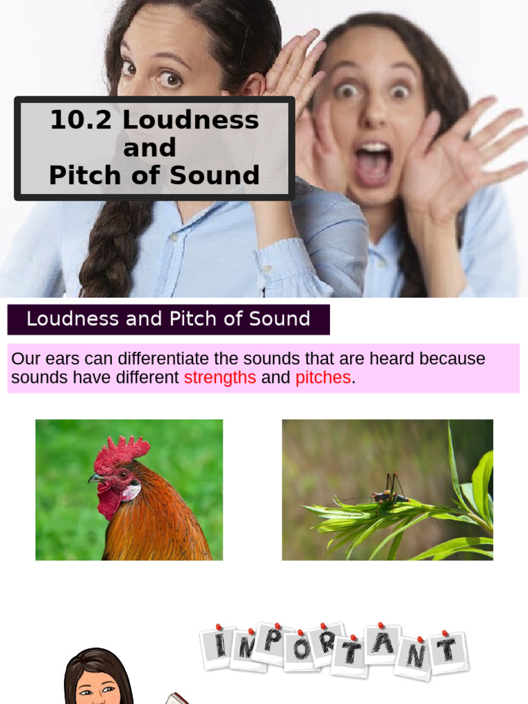 Understanding Loudness and Pitch | PDF