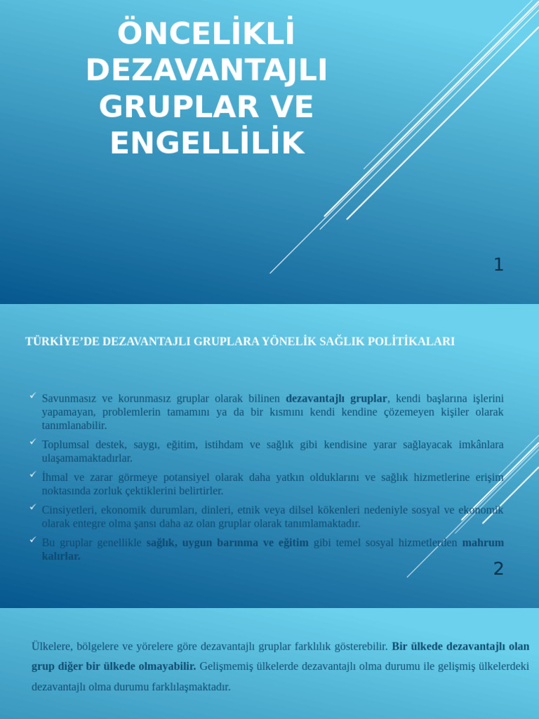 1 Öncelikli Dezavantajlı Gruplar Ve Engellilik | PDF