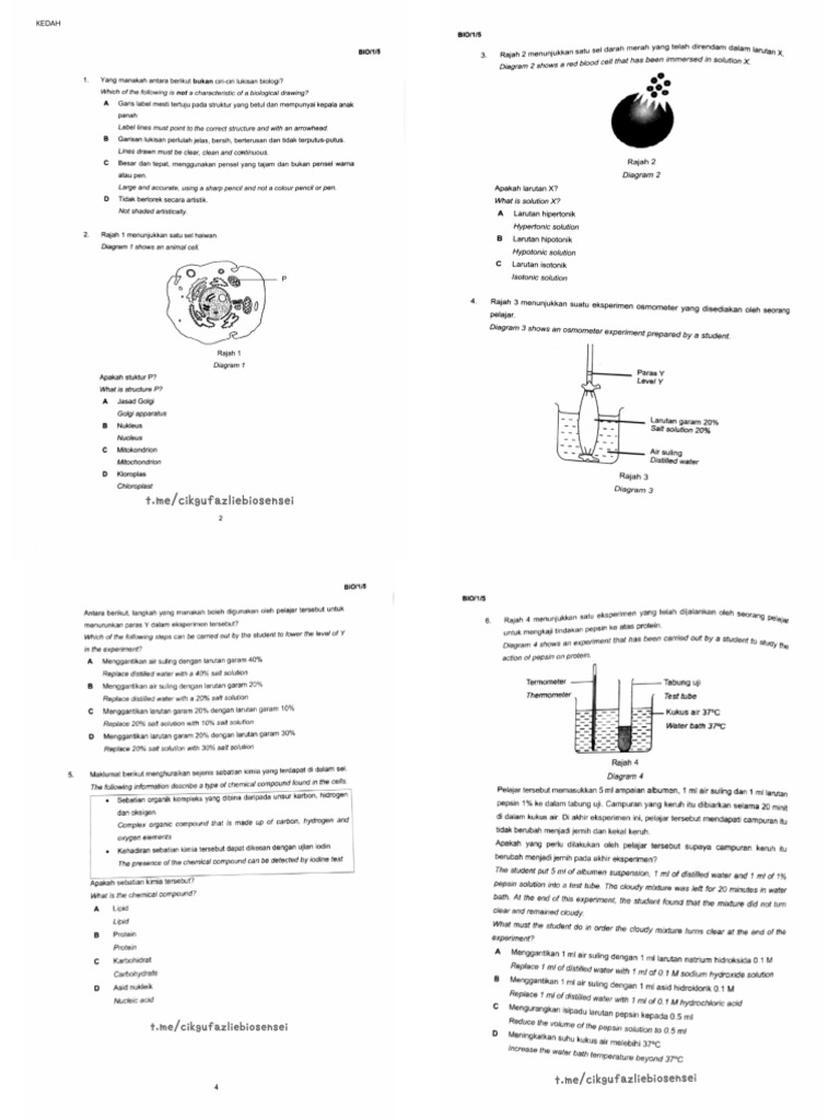 Kedah 2024 - Bio1 | PDF