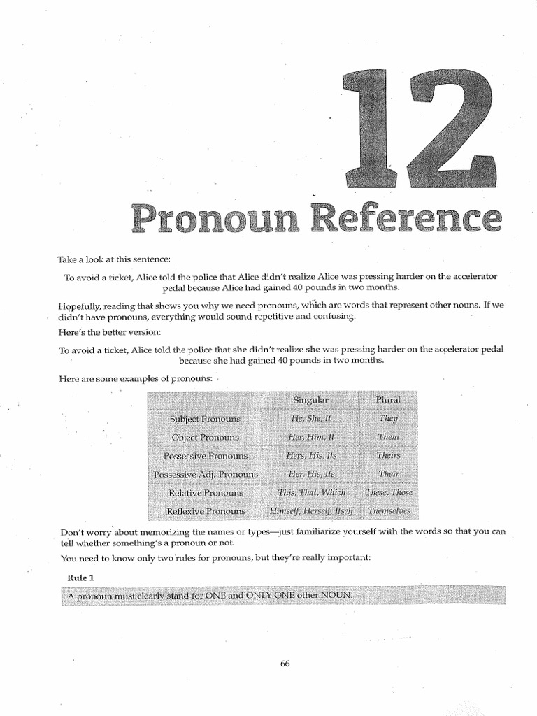 Pronoun Reference Extra | PDF