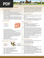 PYTAGOROVA - VETA - Priklady - Riesenie - 1 4 | PDF